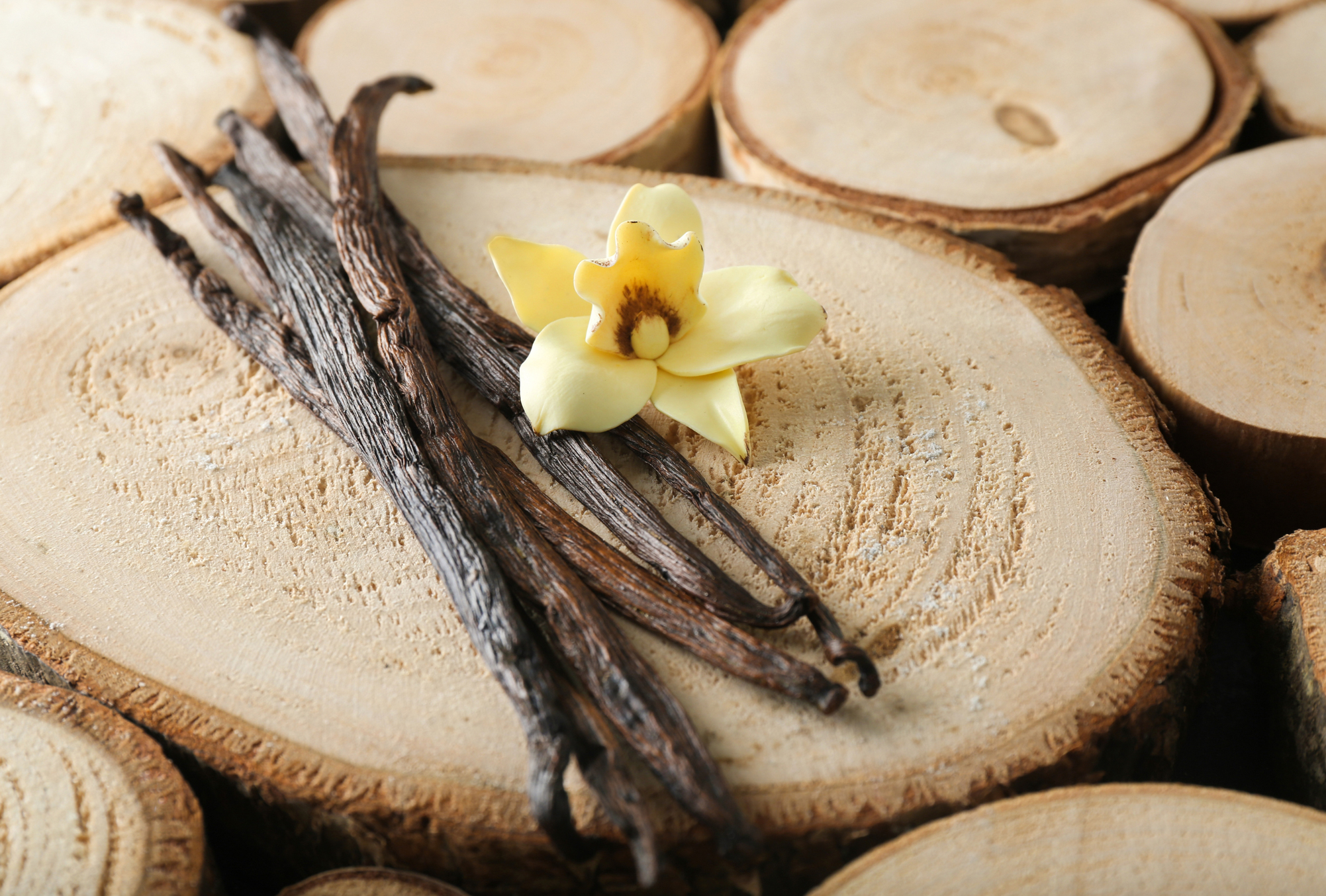 La asombrosa historia de la Vainilla – Etadar